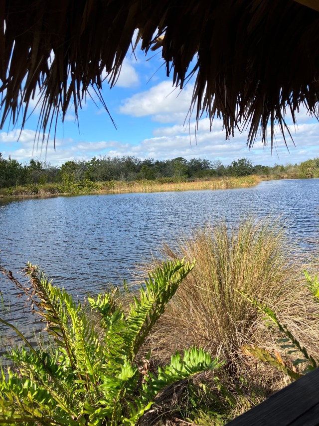 Perico Bayou – Transit Trekker