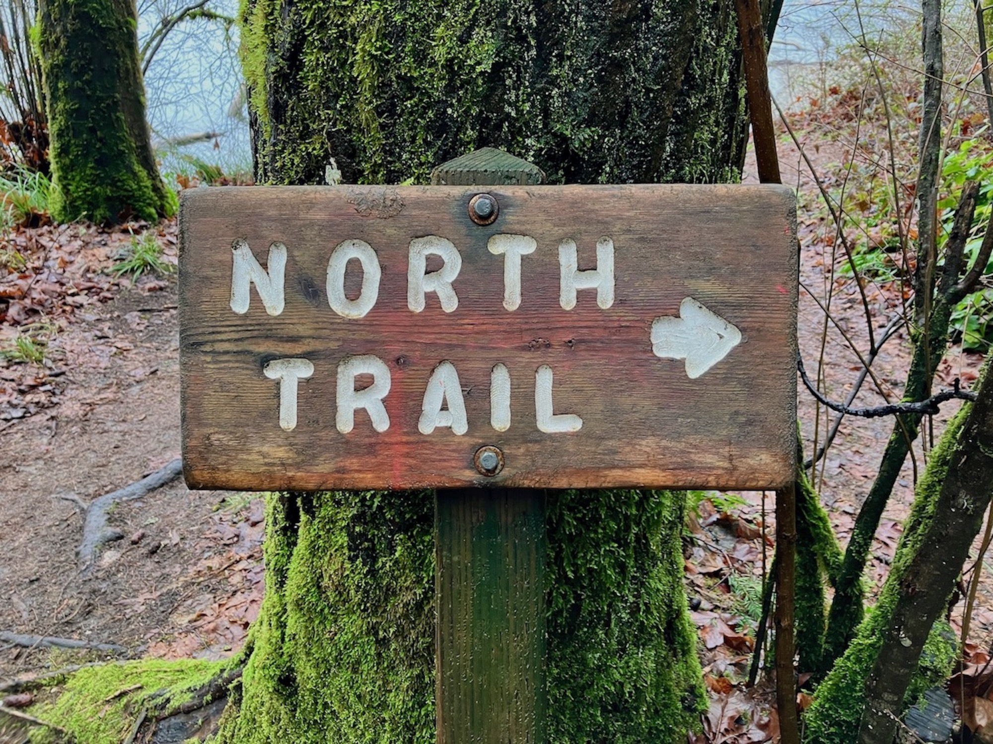 Event! Travel Talk at the Redmond library – Transit Trekker
